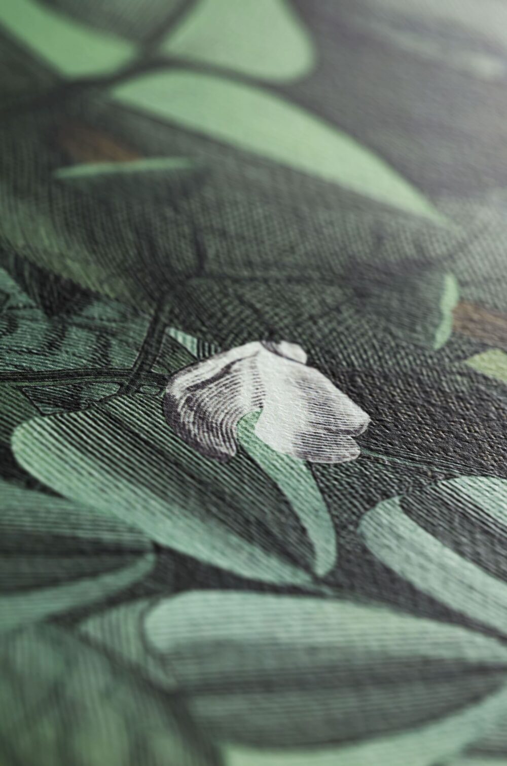 Wonderwall | GCThomas