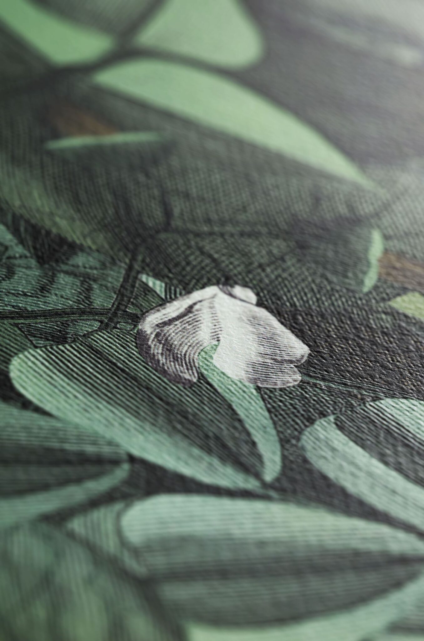 Wonderwall | GCThomas