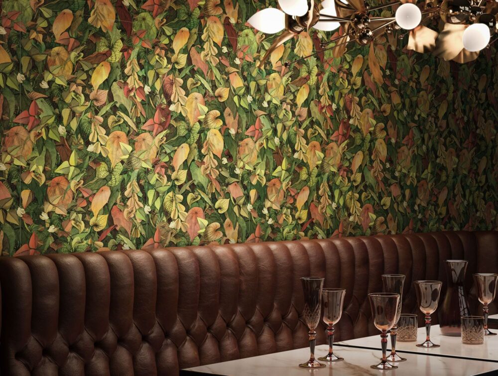 Wonderwall | GCThomas