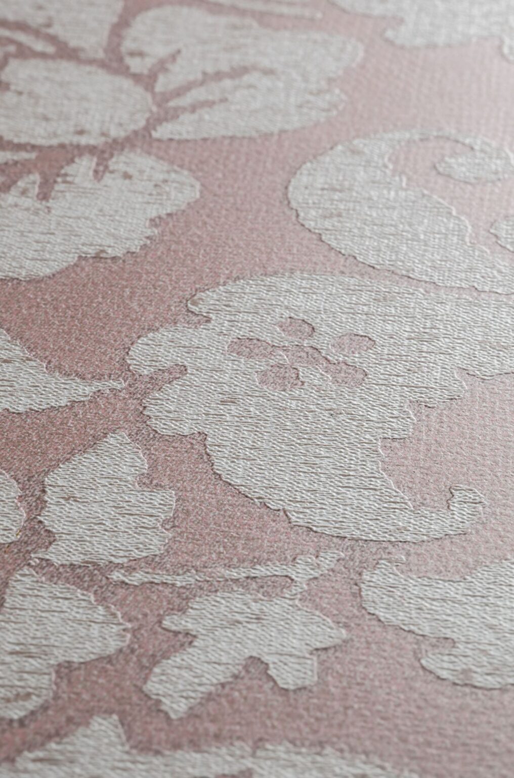 Wonderwall | GCThomas